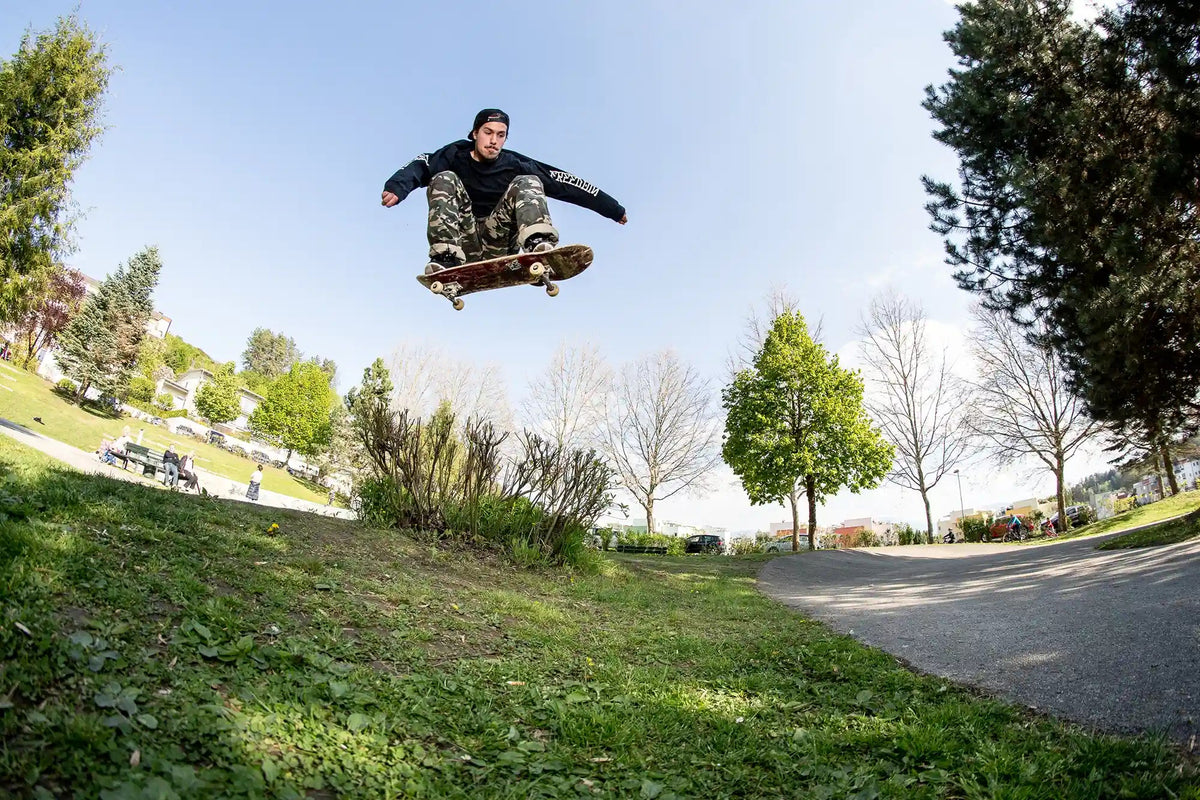 Qu'est-ce qui influence votre pop – Freedom Skateshop